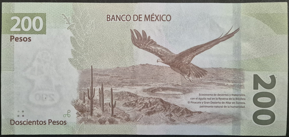 Mexico 200 Pesos Banknote – Coinpeeps