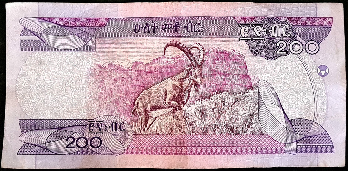 Ethiopia 200 Birr Banknote – Coinpeeps